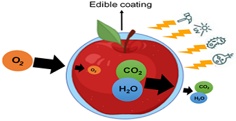 Edible coating to extend fruits and vegetables’ shelf life