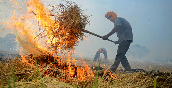 Paddy Straw Pelletisation and Torrefaction Plants