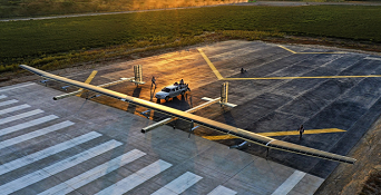 China create world’s first cloned wild Arctic wolf ‘Maya’