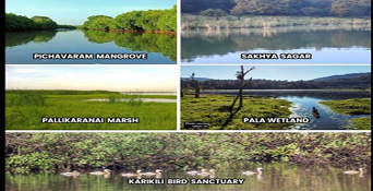 Five new Ramsar Sites in India